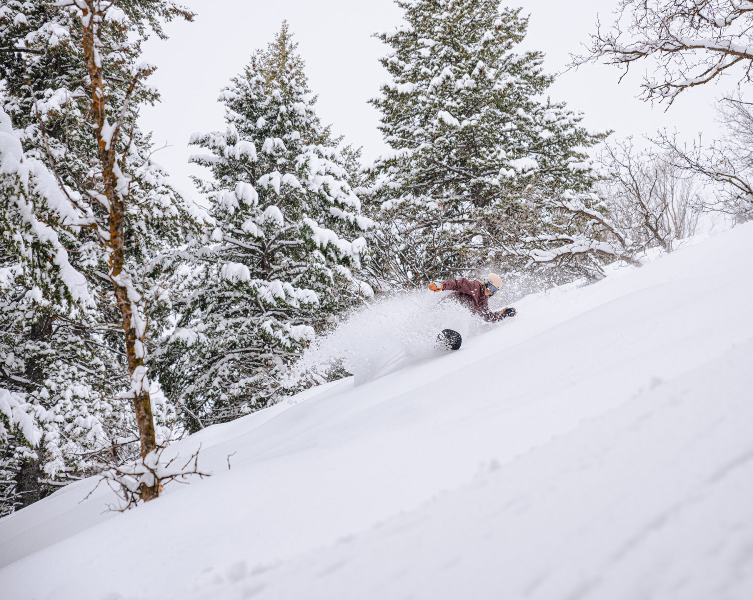 Nordic Valley Ski Resort