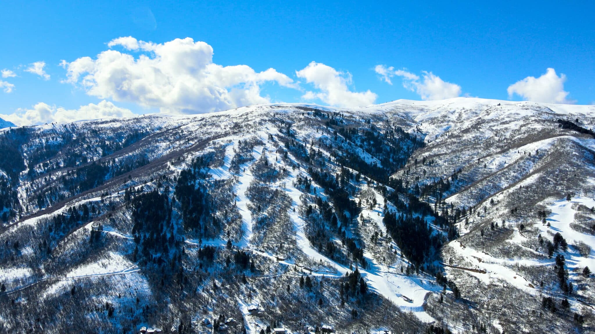 Winter Readiness Blog: All The Updates Leading To Opening Day - Nordic ...